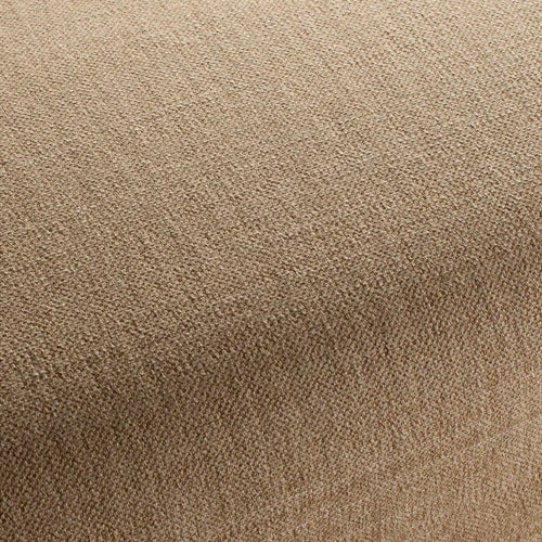 Sugar Kelp 988 Hot Madison